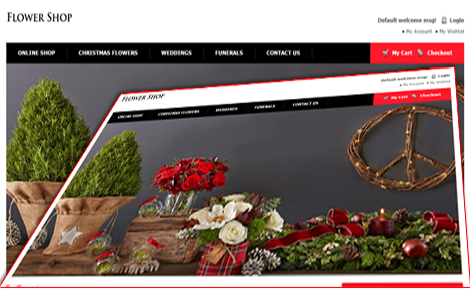 Portfolios | Website Design and Mobile App Development – ZNSoftech